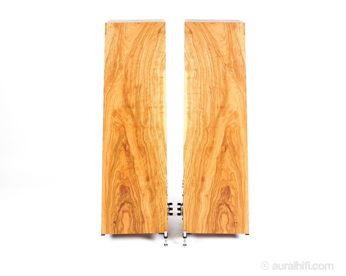 Blumenhofer Acoustics Tempesta 20 Mk2 // New / Horn Loaded Speakers For ...