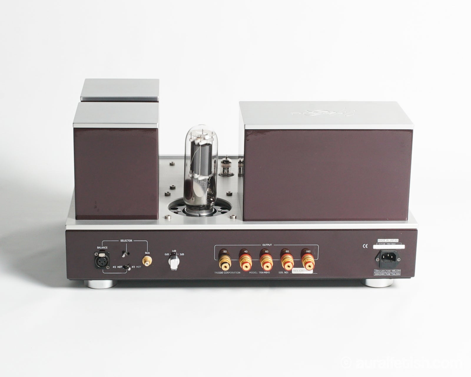 Triode TRX-M845 // Monster Single-Ended Monoblock Tube Amplifiers ...