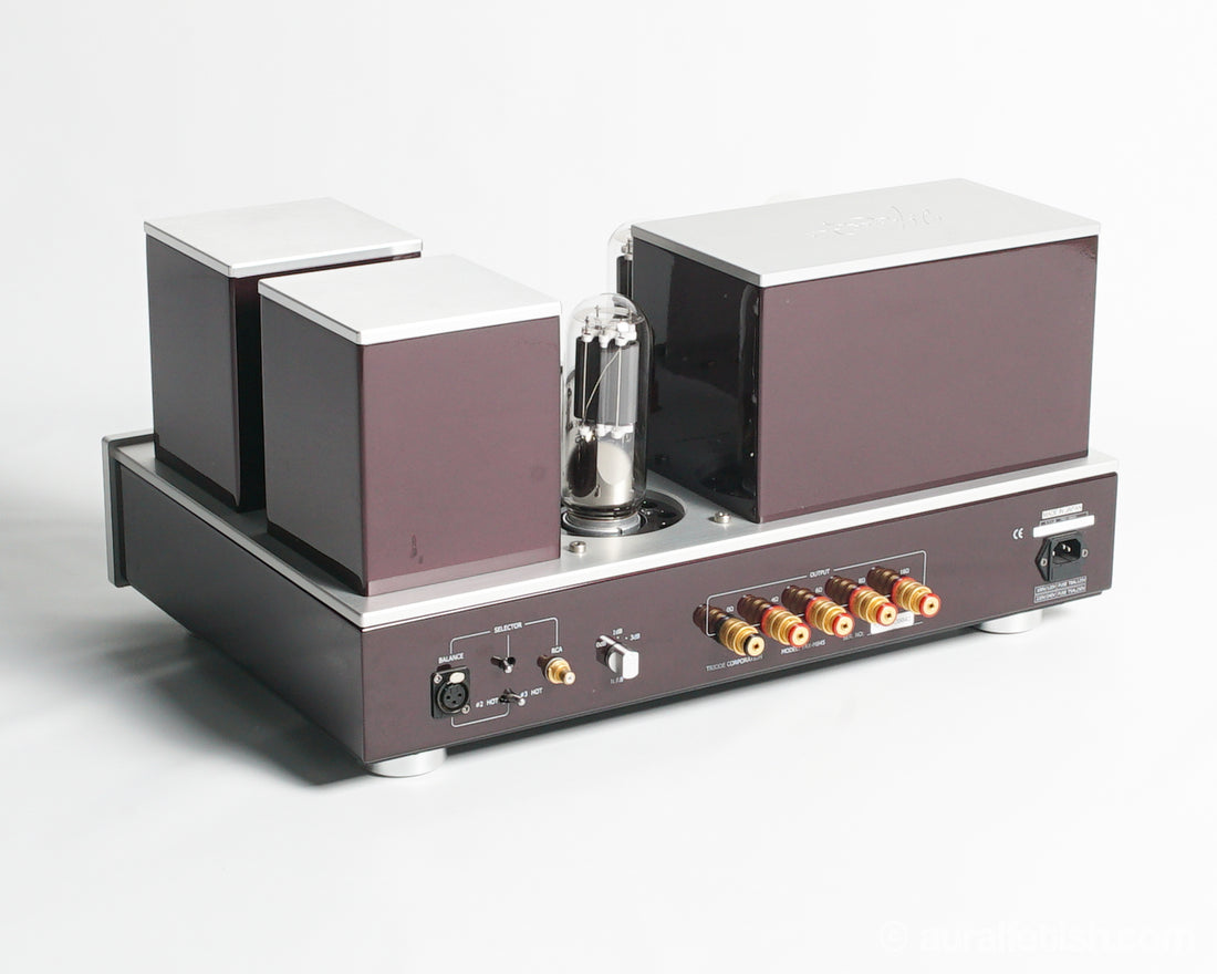 Triode TRX-M845 // Monster Single-Ended Monoblock Tube Amplifiers ...